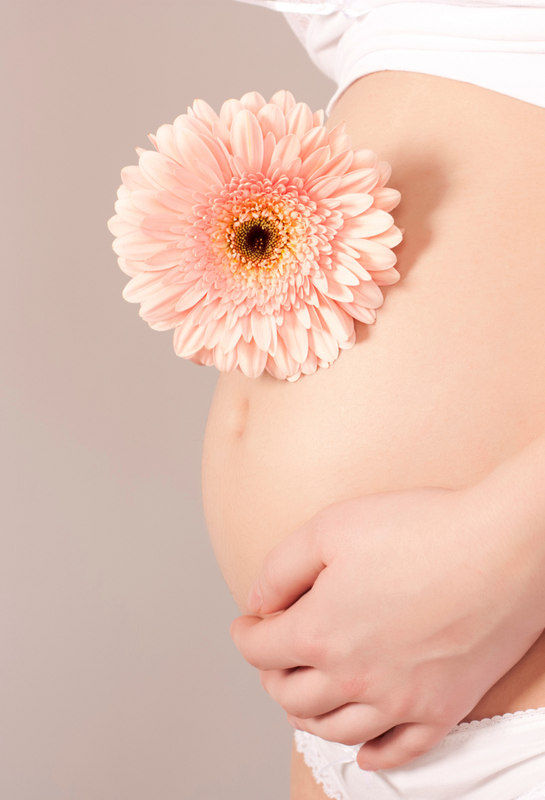 Collections – Little Seedling